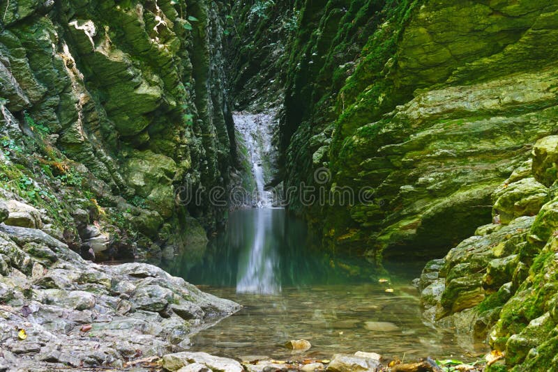 Ravine Covered with Moss and Ivy with a Calm River and Small Waterfall ...