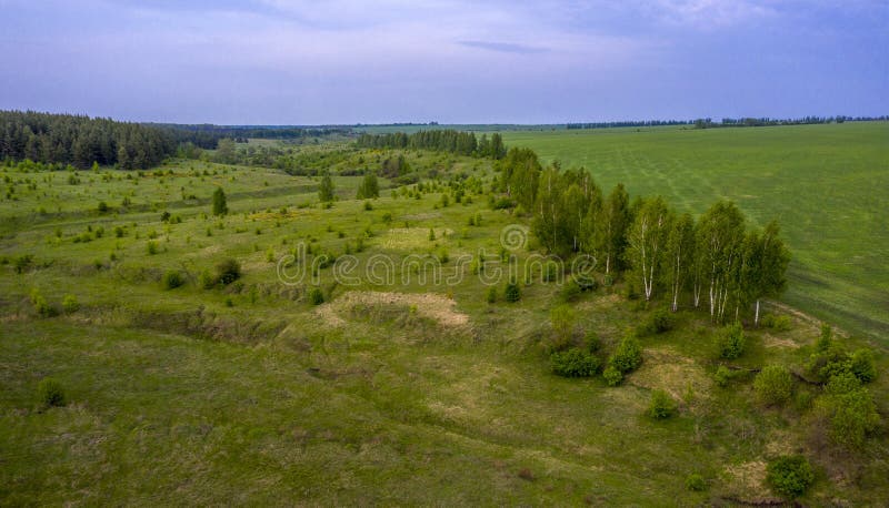 Ravine, Field, Forest with a Bird`s Eye in the Evening Light Stock ...