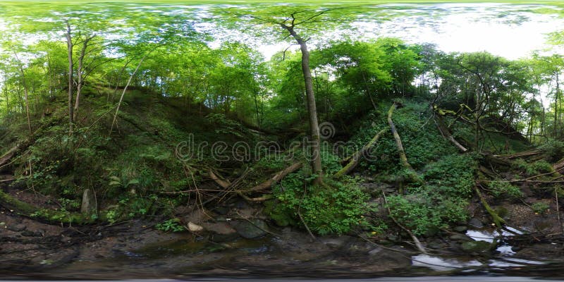 Overgrowth Ravine in the Forest Stock Photo - Image of river, tranquil ...