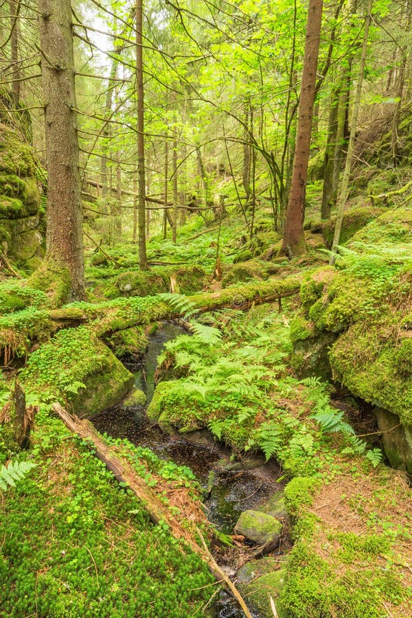 Ravine landscape stock photo. Image of terrain, nobody - 26407668