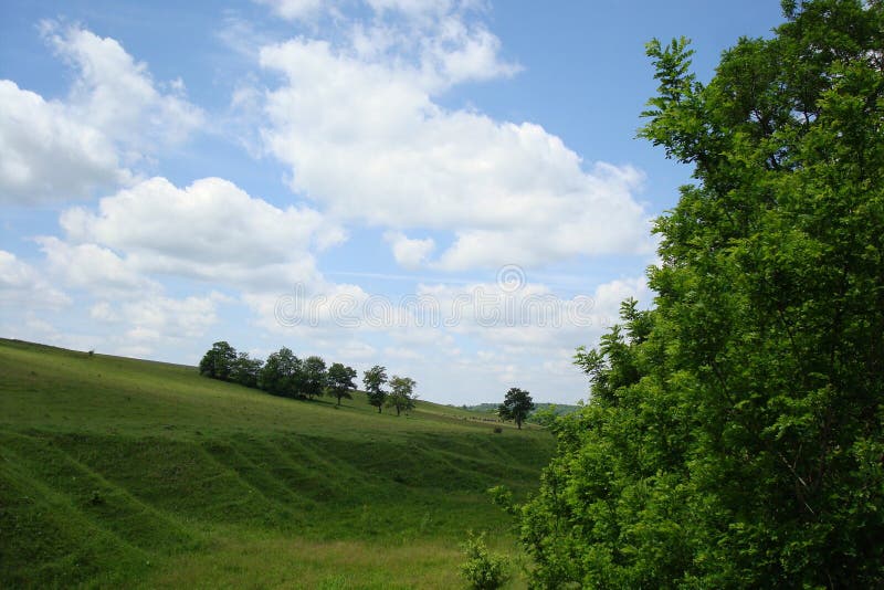 Ravine with Green Grass and Trees Stock Photo - Image of white, herb ...