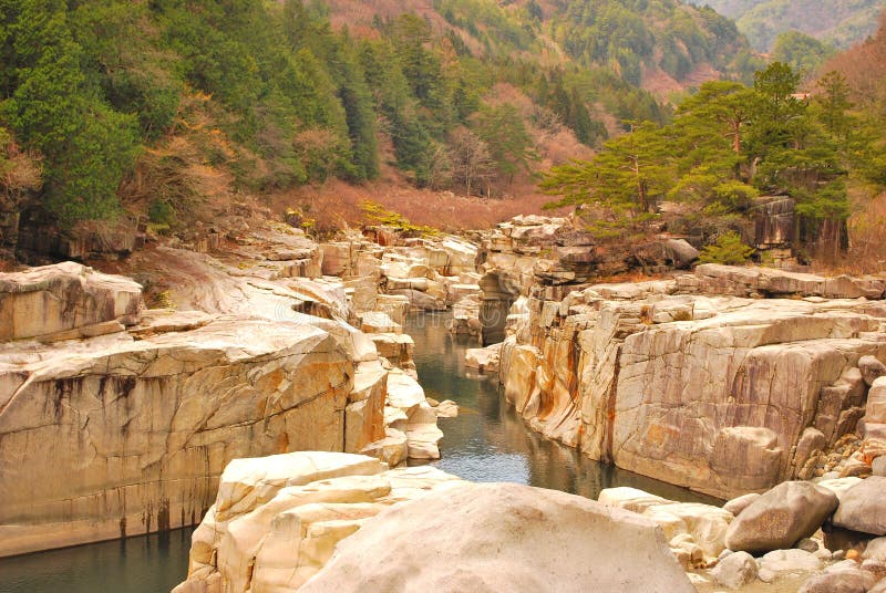 Ravine with huge rocks stock image. Image of tree, quiet - 9415767