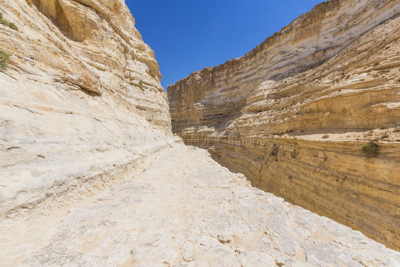 Ravine in the Negev desert stock photo. Image of bright - 45447478