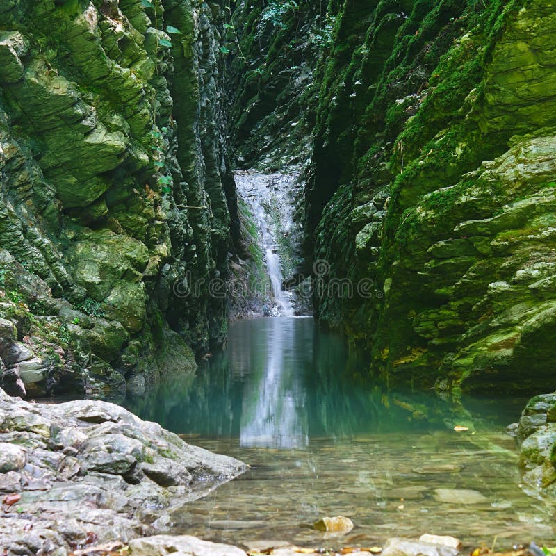 Ravine Overgrown with Moss and Ivy with a Calm River and Small ...