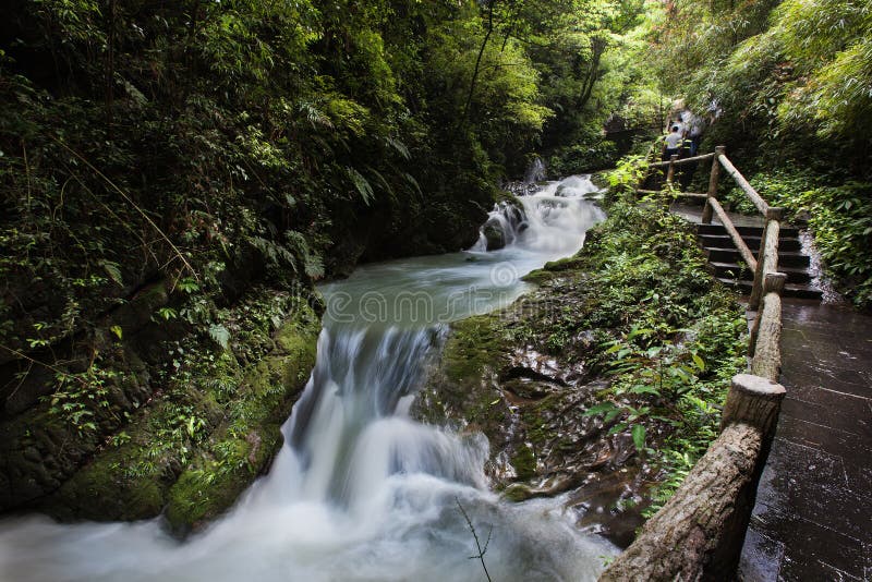 Ravine Stream in the Black Mountain Valley Stock Image - Image of ...