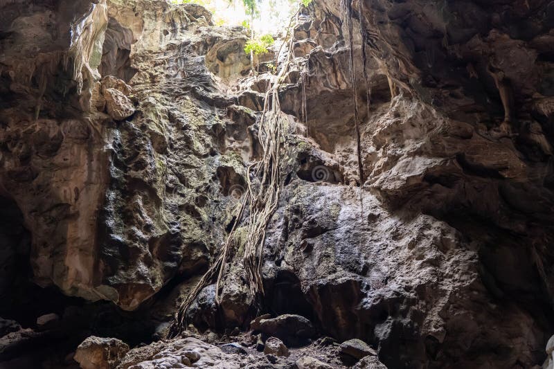 Ravine with Sunlight Filtering through Lush Greenery in a Rocky Cave ...