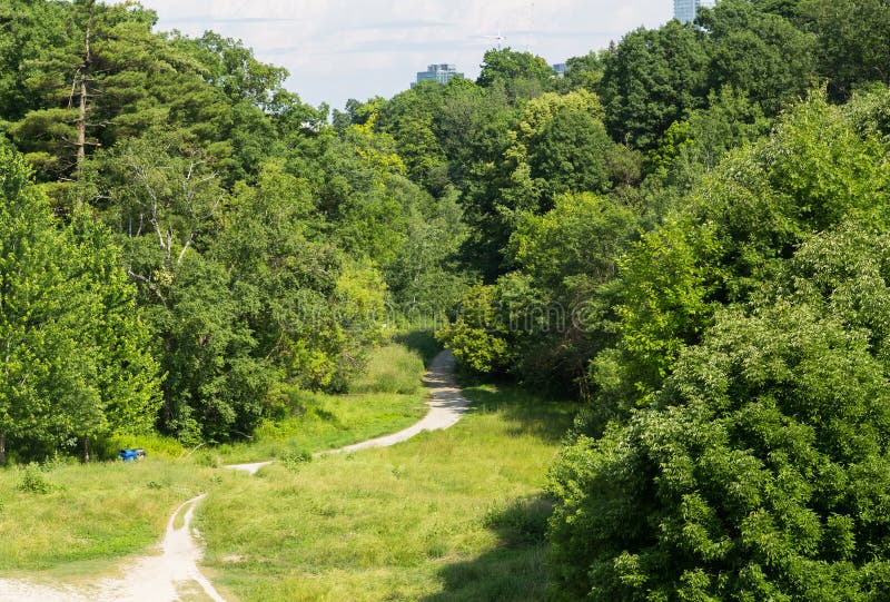 Ravine in Toronto stock photo. Image of park, ravine - 42180022