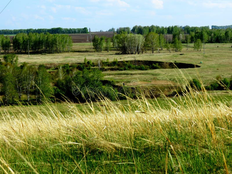 Forest-steppes in the Summer Stock Image - Image of wild, unforgettable ...