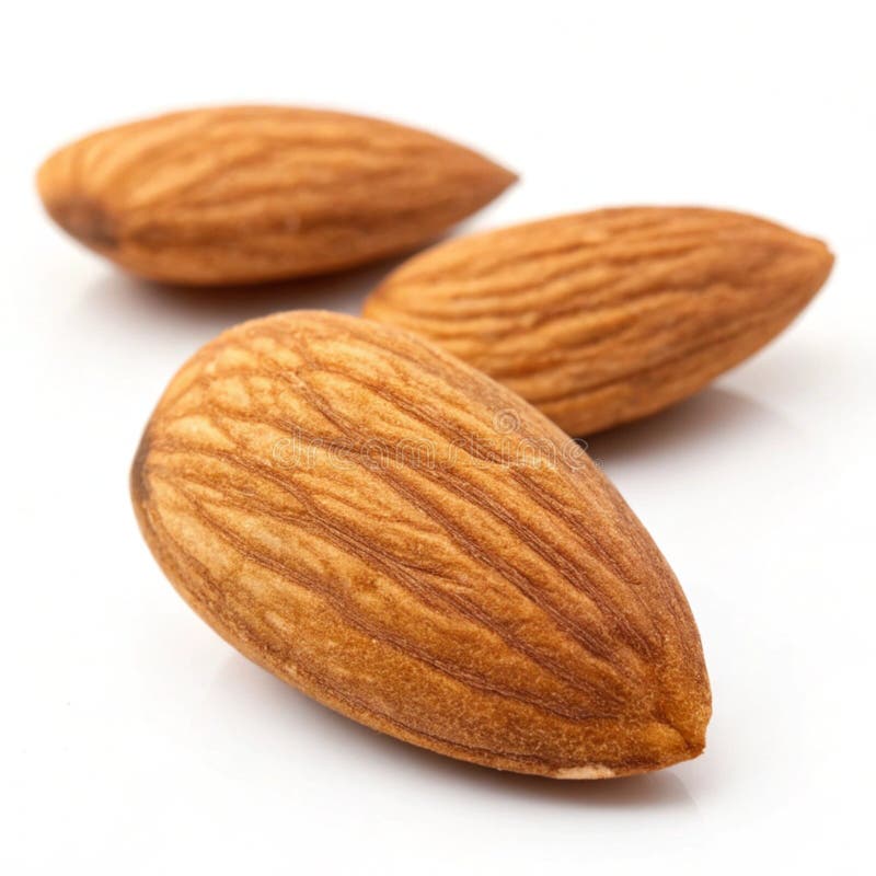 Raw Almond Isolated on White Background Stock Illustration ...