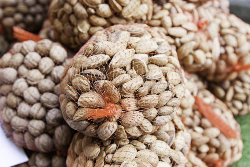 Raw almonds in shell stock image. Image of peeled, closeup - 53981791