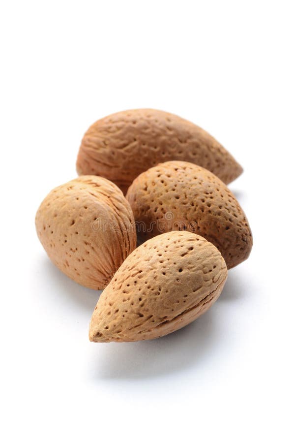 Raw almonds with shell stock photo. Image of organic - 64869162