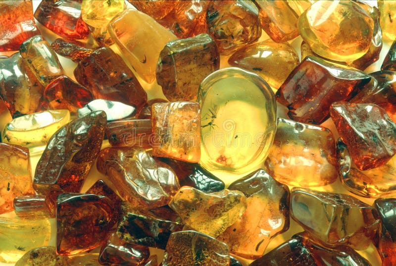 Raw amber stock image. Image of nature, color, glass, mineralpine - 1125597