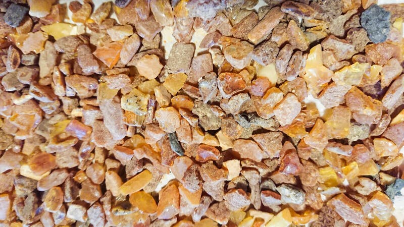 Raw Amber Resin stock image. Image of resin, alive, amber - 152956987