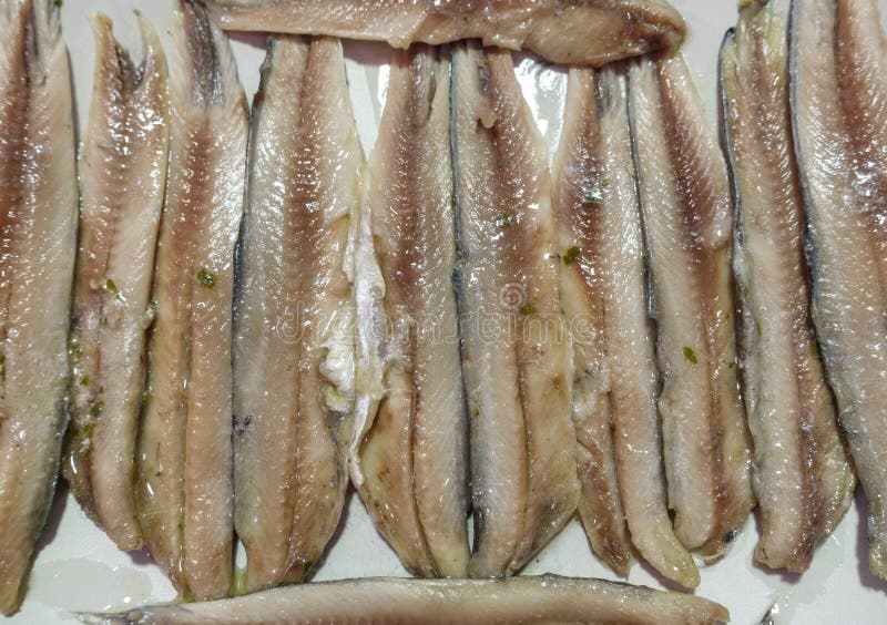 Raw Anchovy Prepared with Vinegar Stock Photo - Image of macro, closeup ...