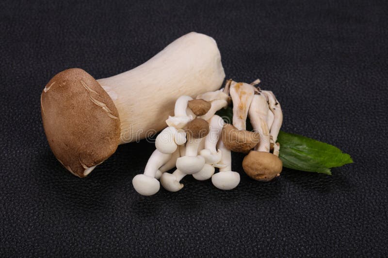 Raw Asian Mushroom - Ready for Cooking Stock Image - Image of closeup ...