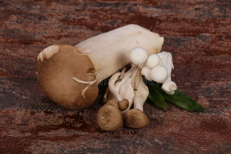 Raw Asian Mushroom - Ready for Cooking Stock Image - Image of fungi ...