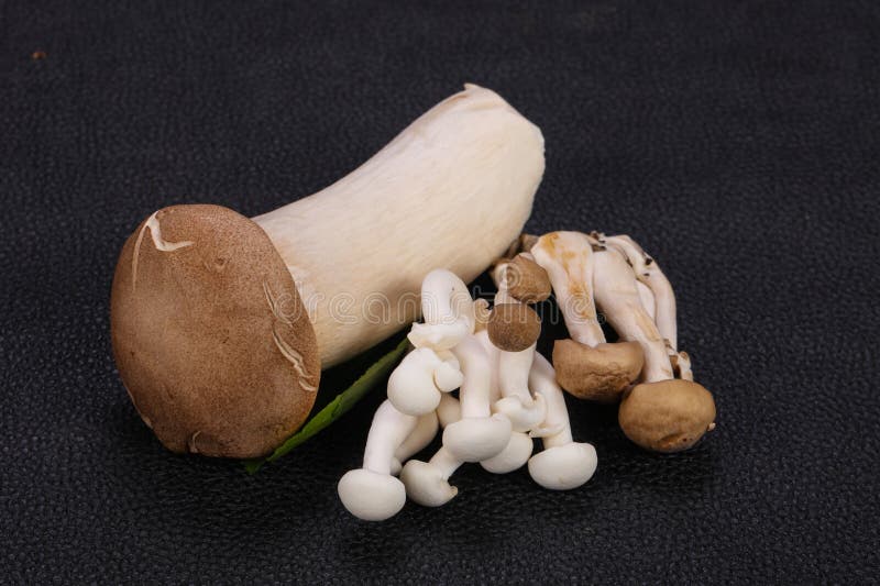 Raw Asian Mushroom - Ready for Cooking Stock Photo - Image of asian ...
