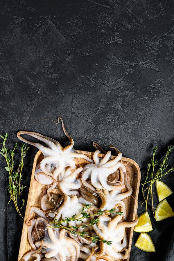 Raw Baby Octopus on Black Background. Top View Stock Image - Image of ...