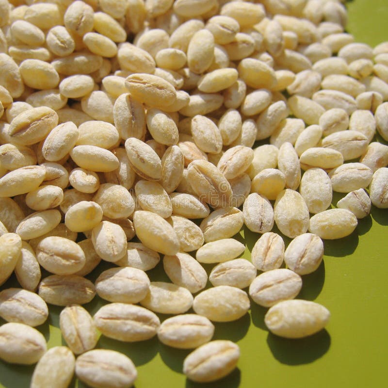 Pearled barley stock image. Image of view, processed - 16754017