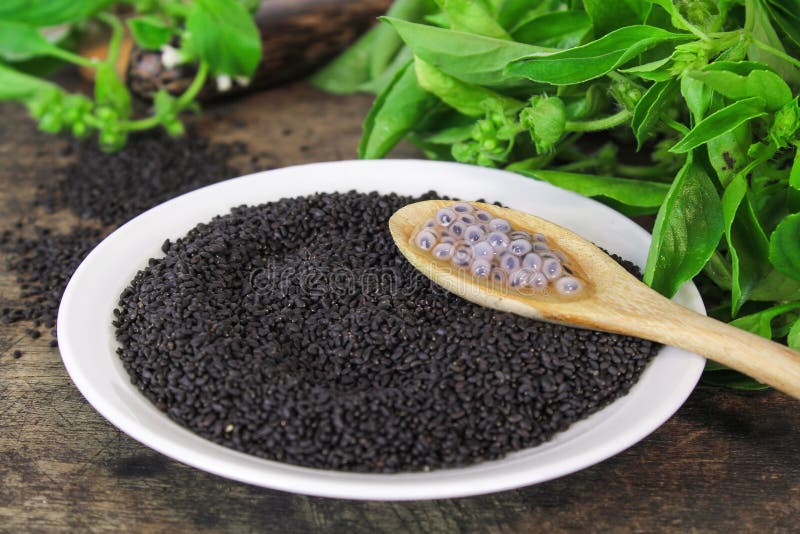 Raw Basil Seed, Herb in Thai Stock Photo - Image of carotene, cooking ...