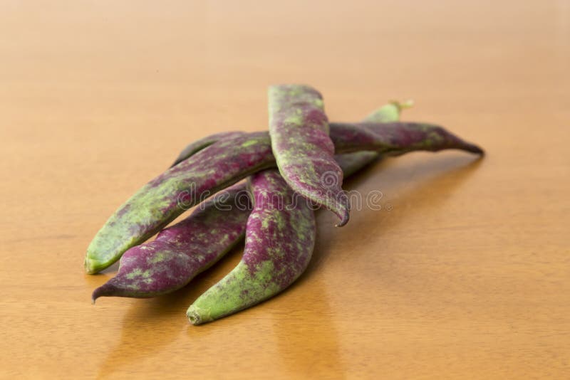 Bean Pods of Different Types Stock Photo - Image of garrofon, grain ...