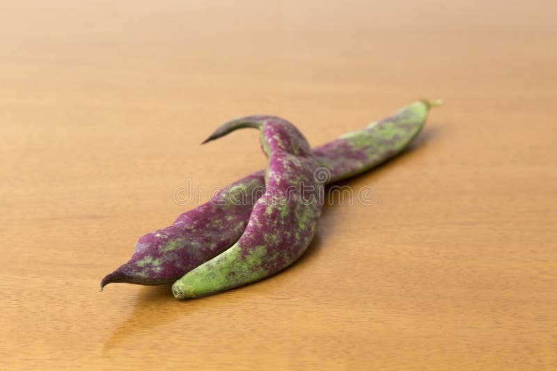 Bean Pods of Different Types Stock Photo - Image of garrofon, grain ...