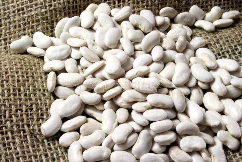 Raw beans stock image. Image of group, vegetarian, ingredient - 21666159