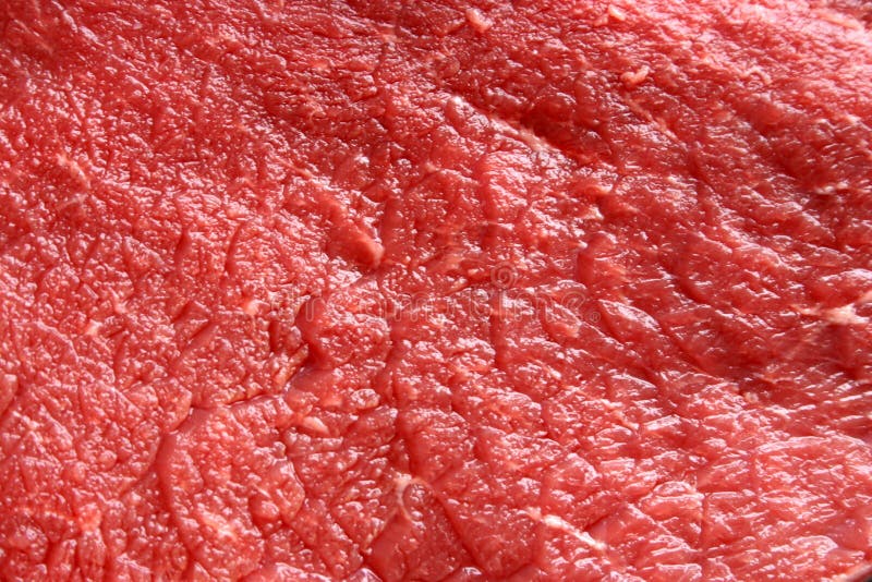 Raw beef stock image. Image of nutrition, kitchen, braising - 8908767