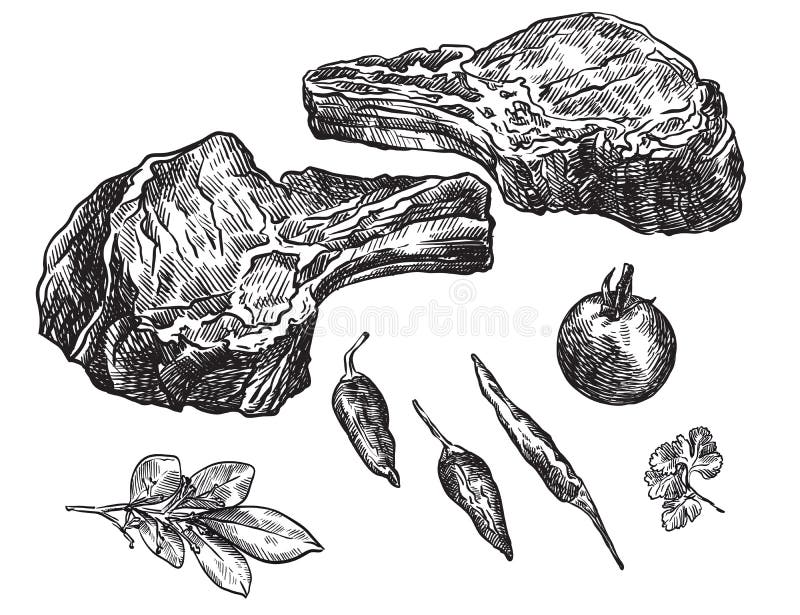 Raw Beef on Bones and Spices Stock Vector - Illustration of handmade ...