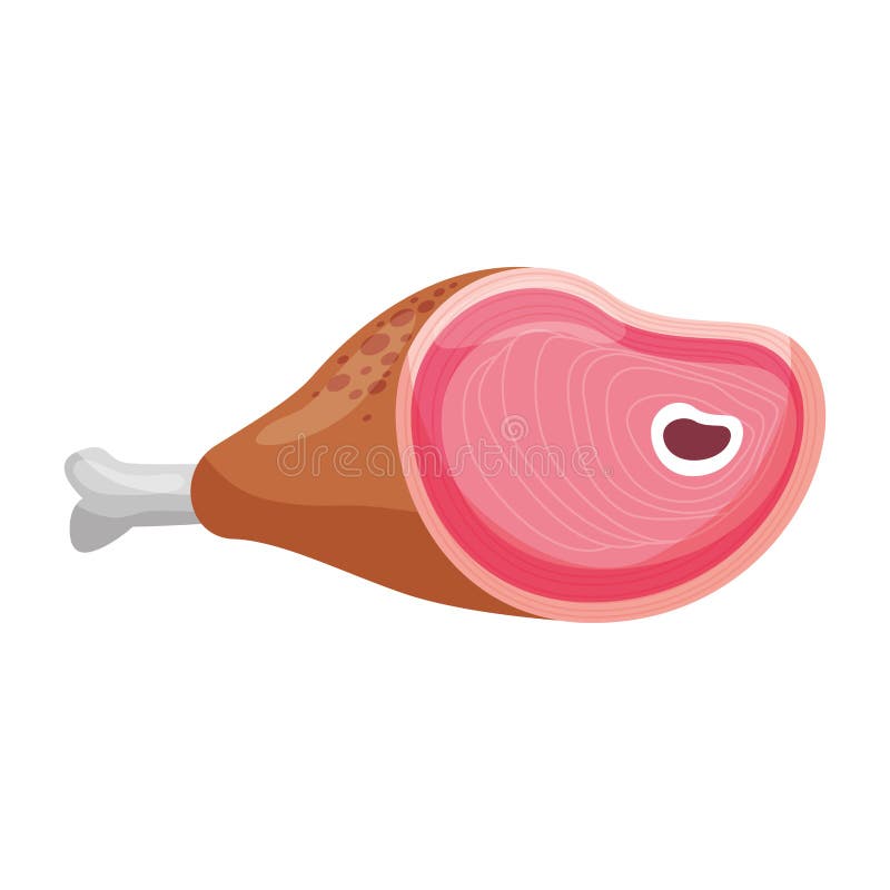 Raw meat cartoon stock vector. Illustration of freshness - 228191758