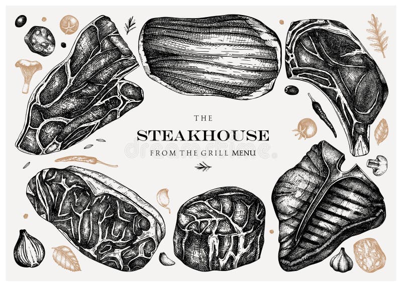 Flank Steak Vector Illustration Raw Meat Top View Drawing Hand Drawn