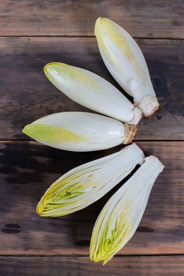 Raw Belgian Endive Bitter Vegetable Stock Image - Image of organic ...