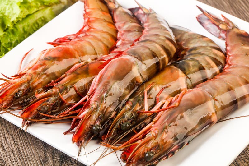 Raw big tiger prawn stock photo. Image of appetizer - 112063388