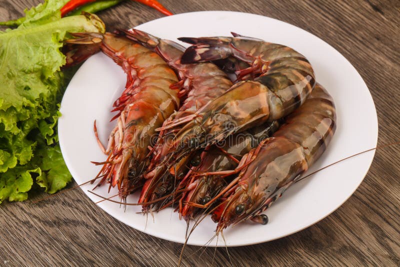 Raw big tiger prawn stock image. Image of healthy, snack - 112178617