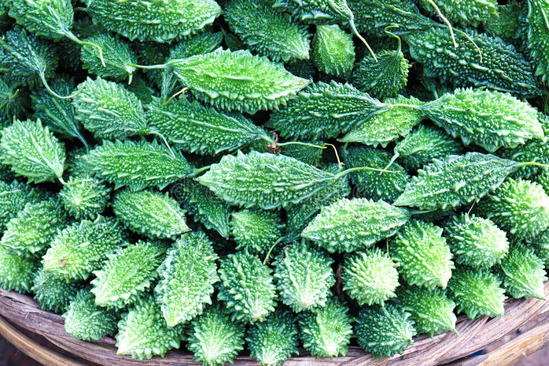 Raw Bitter Melon Stock on Shop Stock Photo - Image of fresh, leaf ...