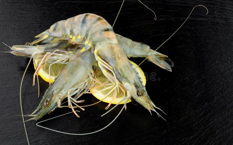 Raw Black King Tiger Prawns Stock Photo - Image of prawns, shells: 97945676
