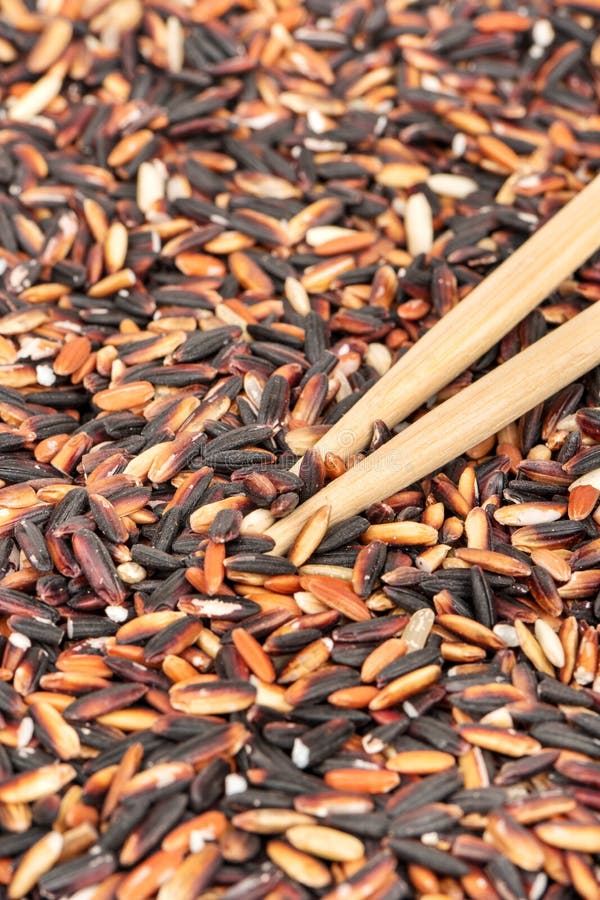 Black wild rice stock image. Image of closeup, fiber - 117732885