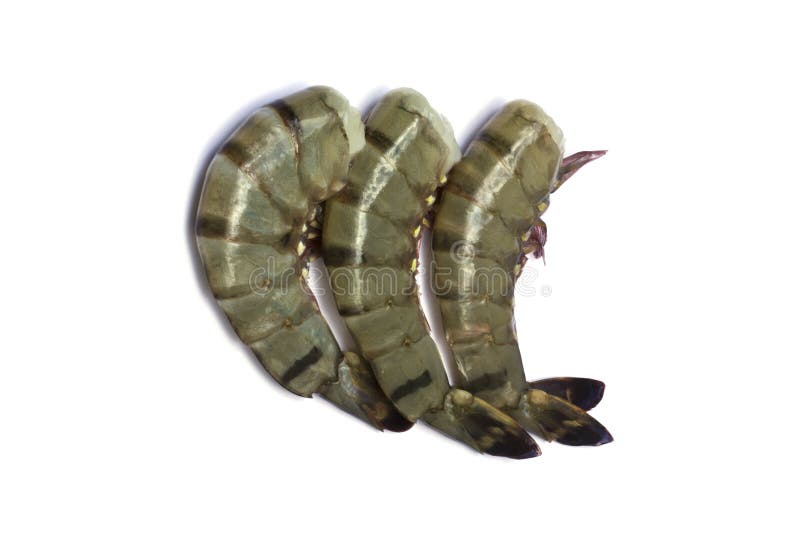 Raw black tiger prawn stock photo. Image of meat, seafood - 20792678