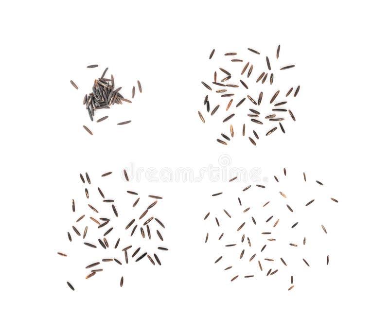 Raw Black Wild Rice Grains Isolated Stock Photo - Image of closeup ...