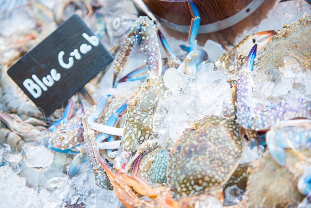 Raw blue crabs on ice stock photo. Image of ingredient - 89551874