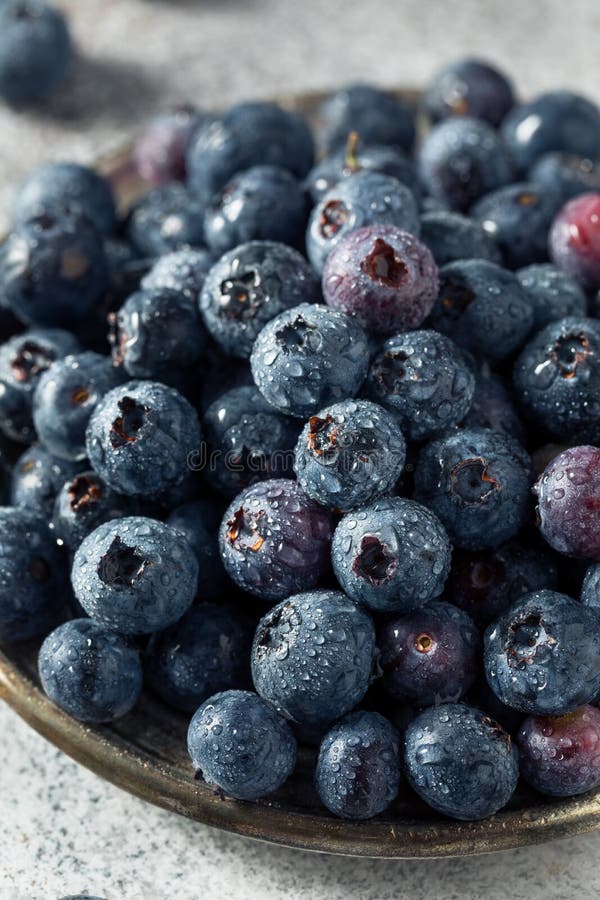 Raw Blue Organic Blueberries Stock Image - Image of blue, summer: 246816479