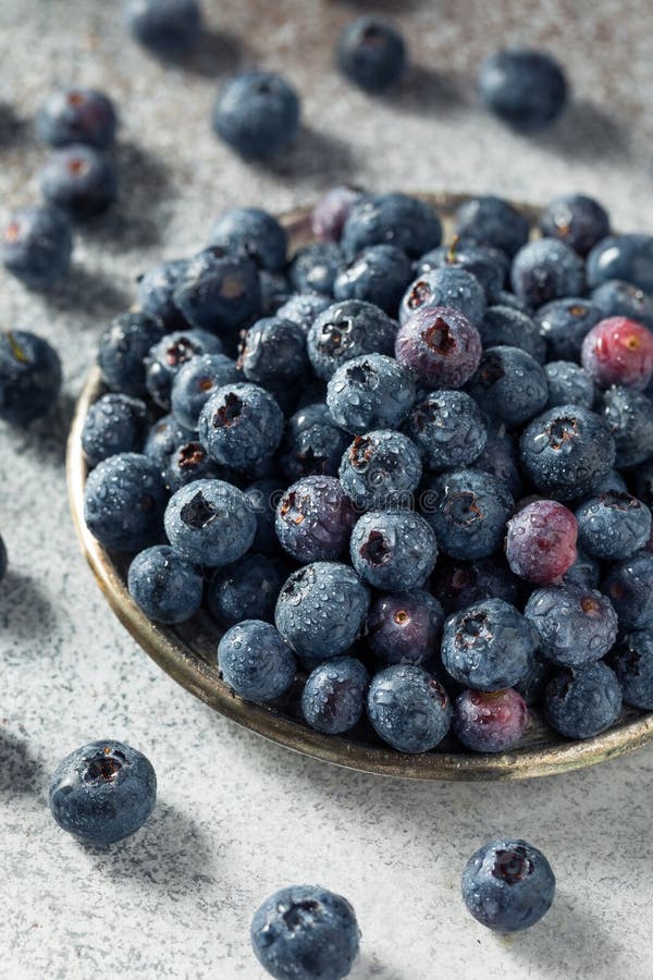 Raw Blue Organic Blueberries Stock Photo - Image of freshness, group ...