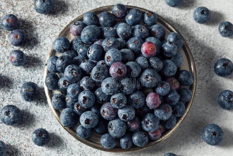 Raw Blue Organic Blueberries Stock Photo - Image of organic, sweet ...