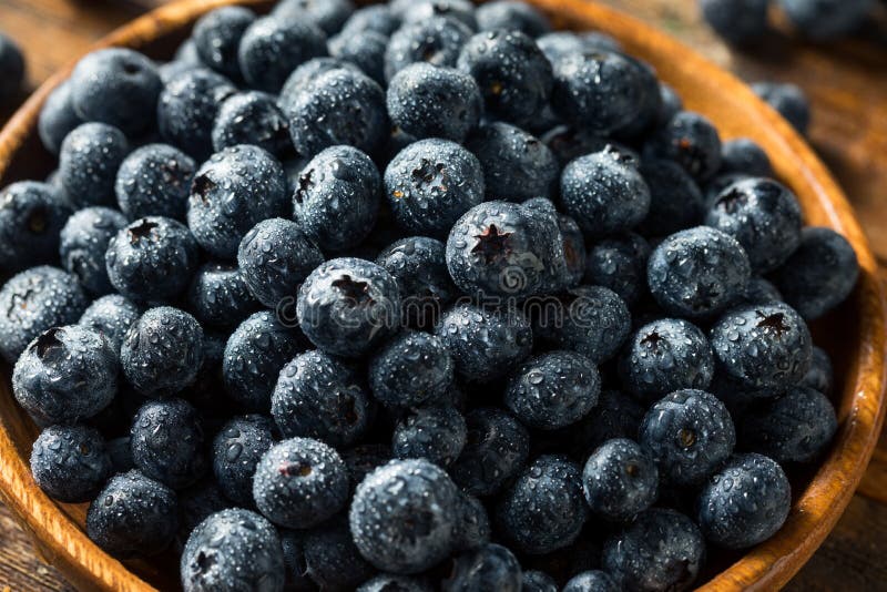 Raw Blue Organic Blueberries Stock Photo - Image of juicy, eating ...