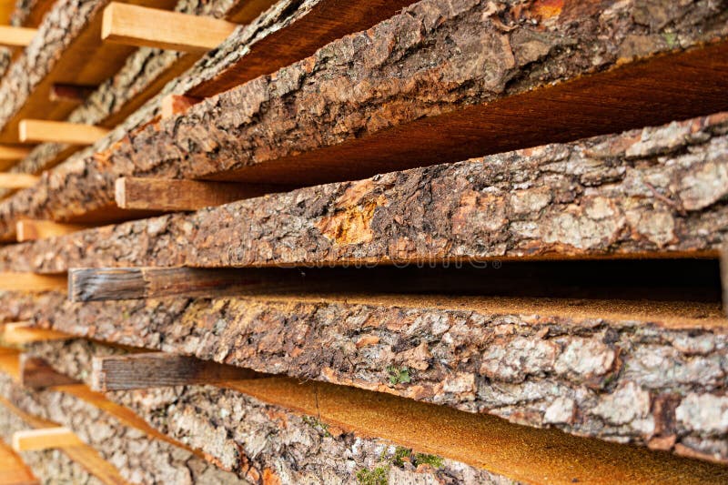 Raw Board with Bark Close-up. Stack of Cut Wood in a Sawmill Stock ...