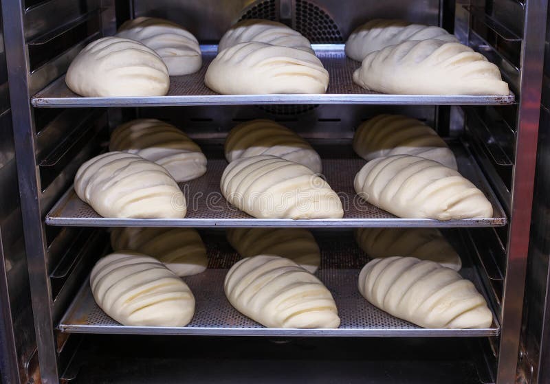 Raw Bread on a Baking Sheet Ready for Baking. Stock Photo - Image of ...