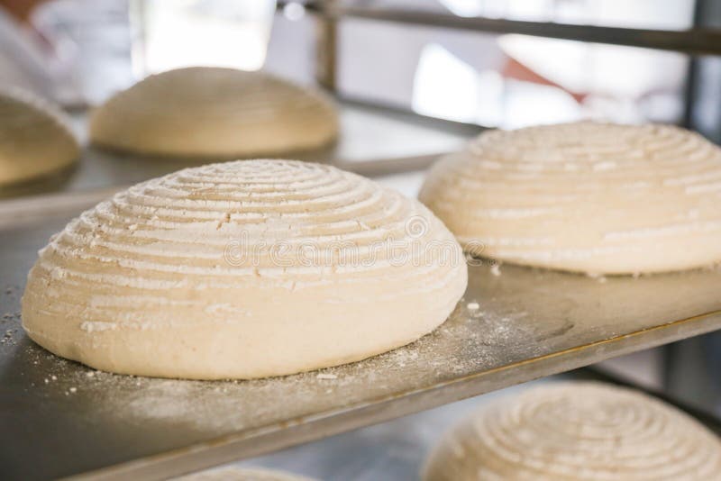 Raw Bread Dough Prepared for Baking in a Bakery Stock Photo - Image of ...