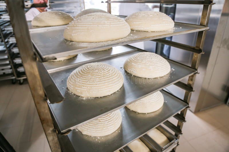 Raw Bread Dough Prepared for Baking in a Bakery Stock Image - Image of ...