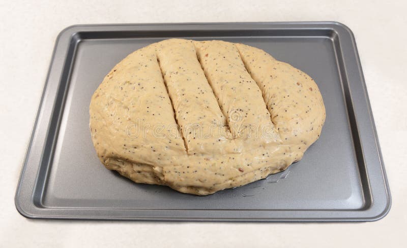 Raw Bread Dough Ready for the Oven Stock Photo - Image of malted, risen ...