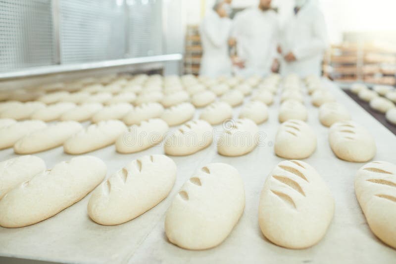 Automatic Bakery Production Line With Sweet Cookies On Conveyor Belt ...